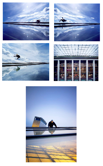 The Bjerk Photos – Biblioteket tar saka #librarycase